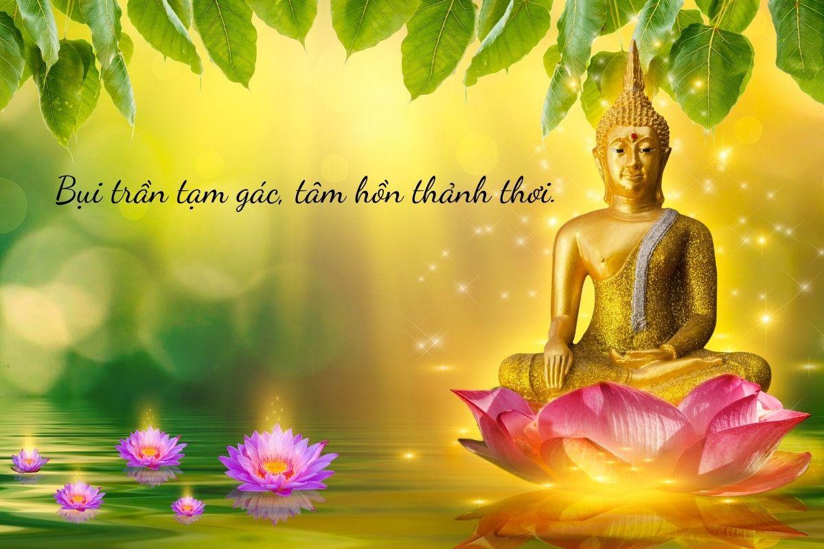 99+ STT đi chùa hay, thanh tịnh tâm hồn, cầu bình an, tình duyên, tài ...